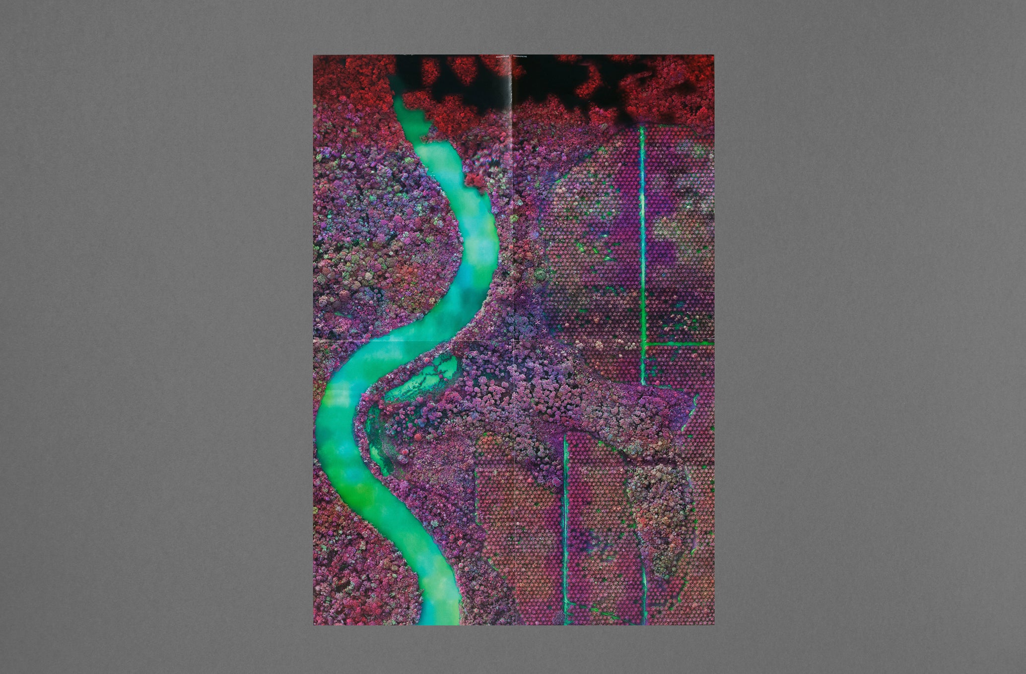 Richard Mosse – Broken Spectre Poster – Loose Joints Publishing