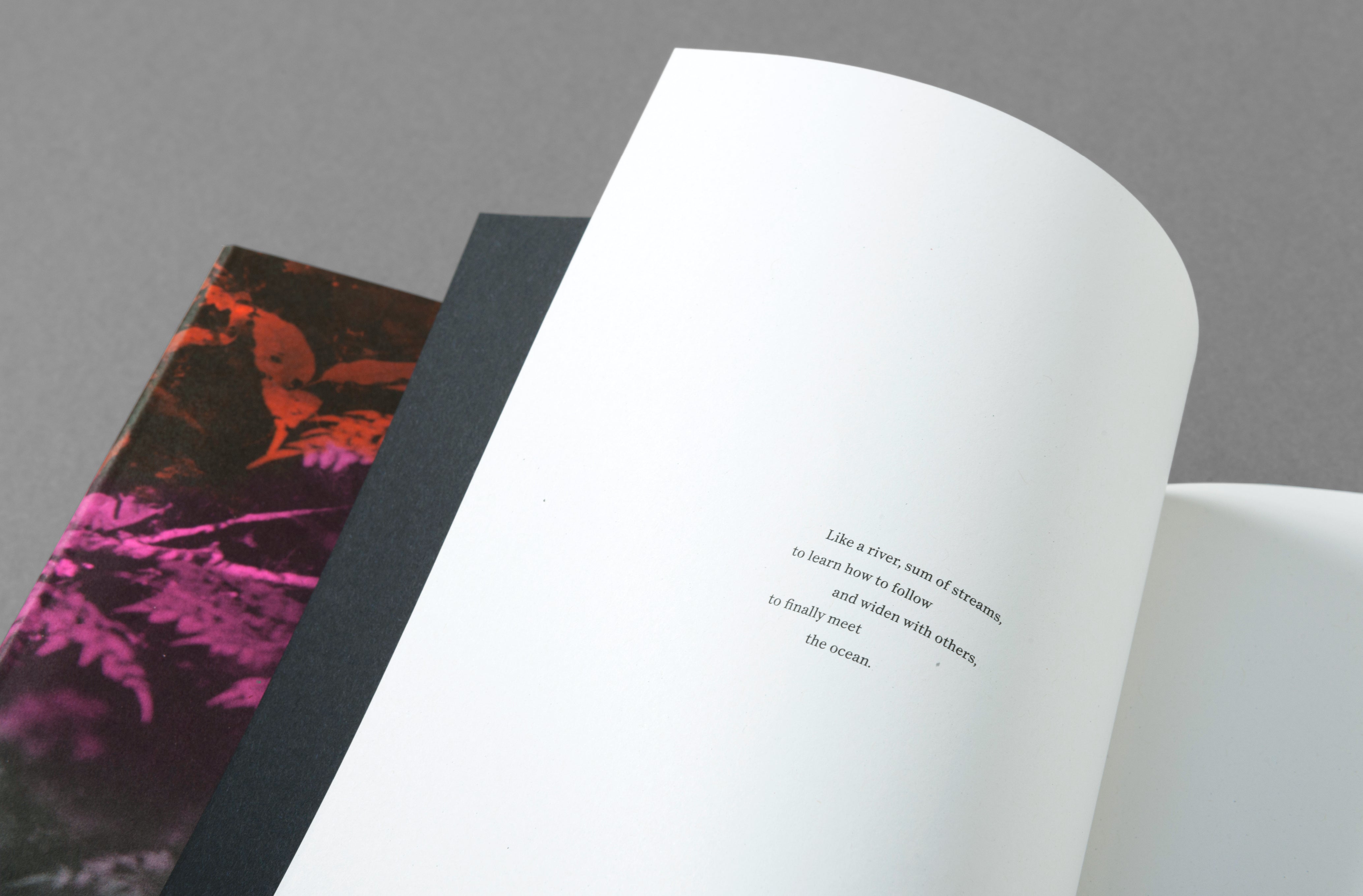 Daniel Jack Lyons – Like a River – Loose Joints Publishing