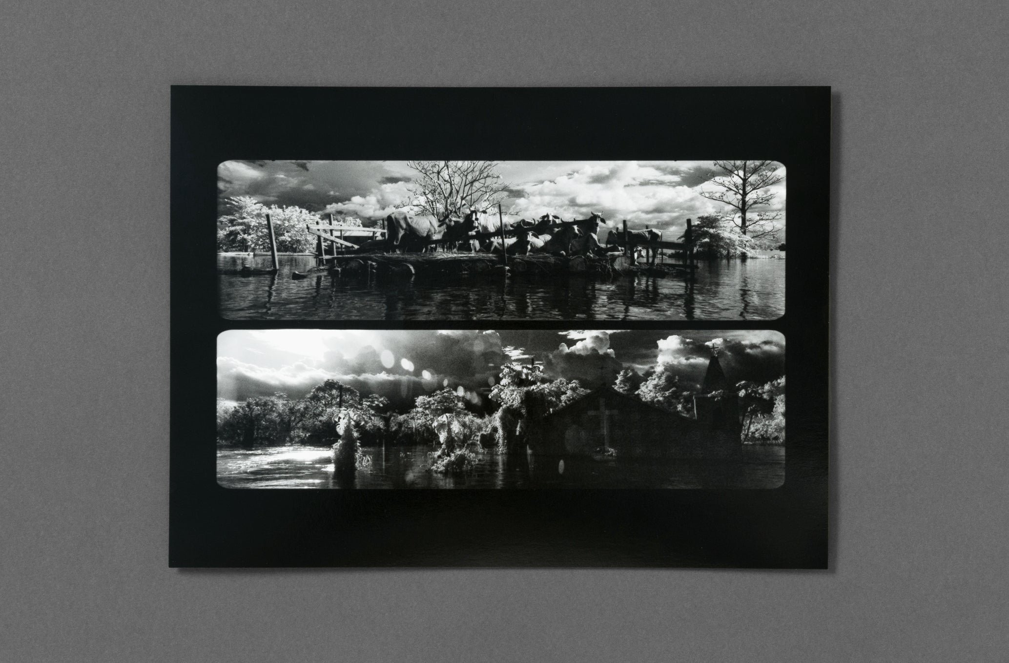 Richard Mosse – Broken Spectre Special Edition – Loose Joints Publishing