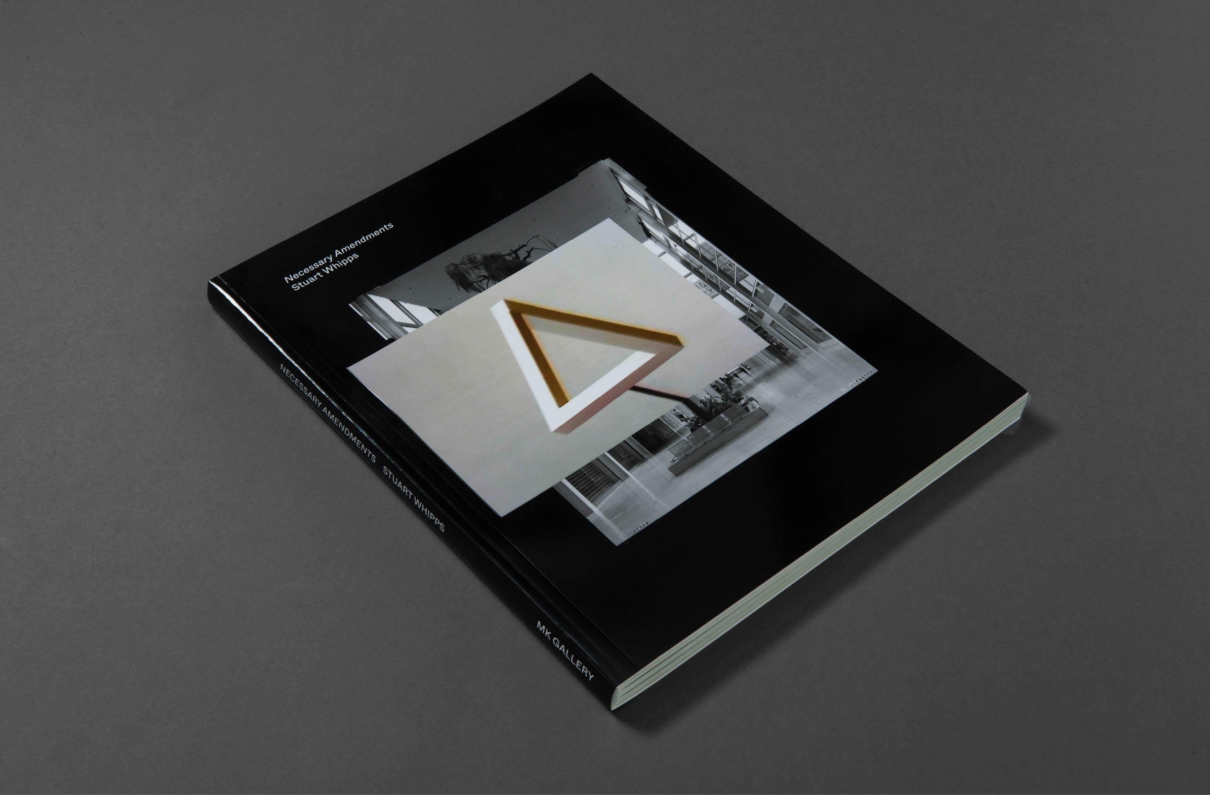 Stuart Whipps – Necessary Amendments – Loose Joints Publishing