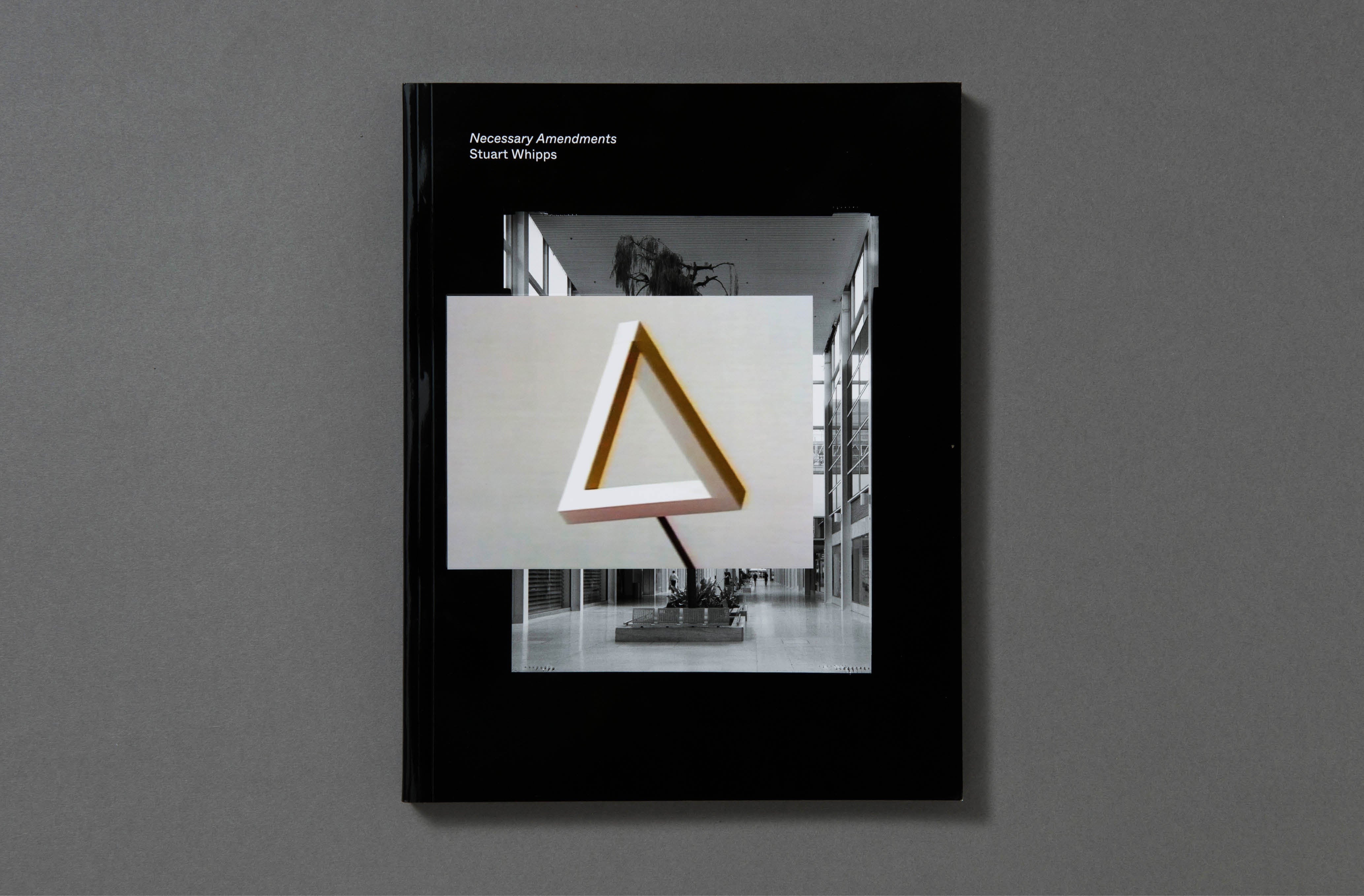 Stuart Whipps – Necessary Amendments – Loose Joints Publishing