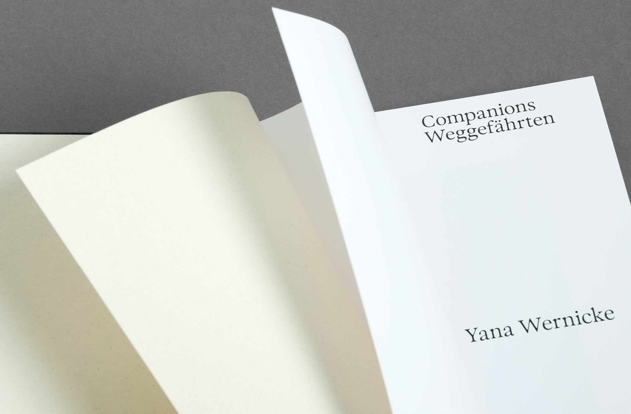 Yana Wernicke – Companions – Loose Joints Publishing
